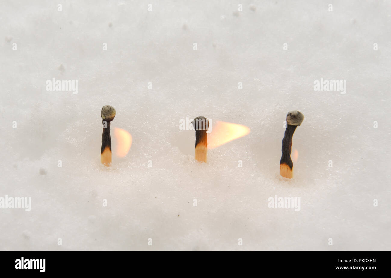 Tree burning matches on the Snow Stock Photo - Alamy