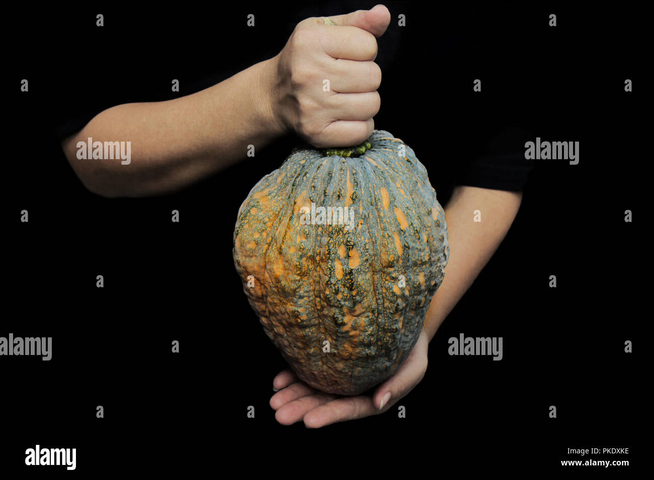 Thai Pumpkin,Delicious vegetable commonly used in savory and sweet ...