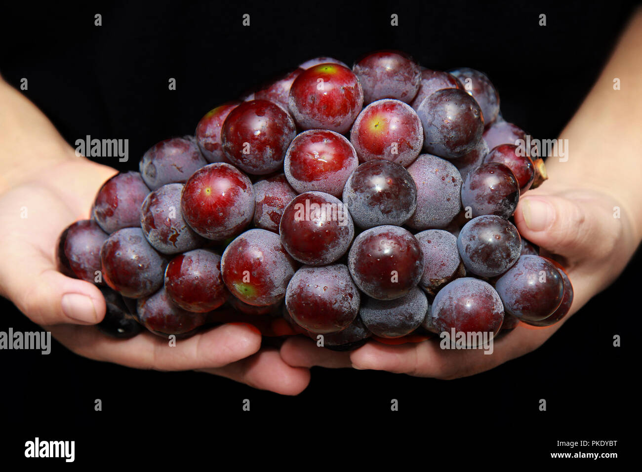 Food for health,Red grapes,The red grape seeds and galling Stock Photo ...