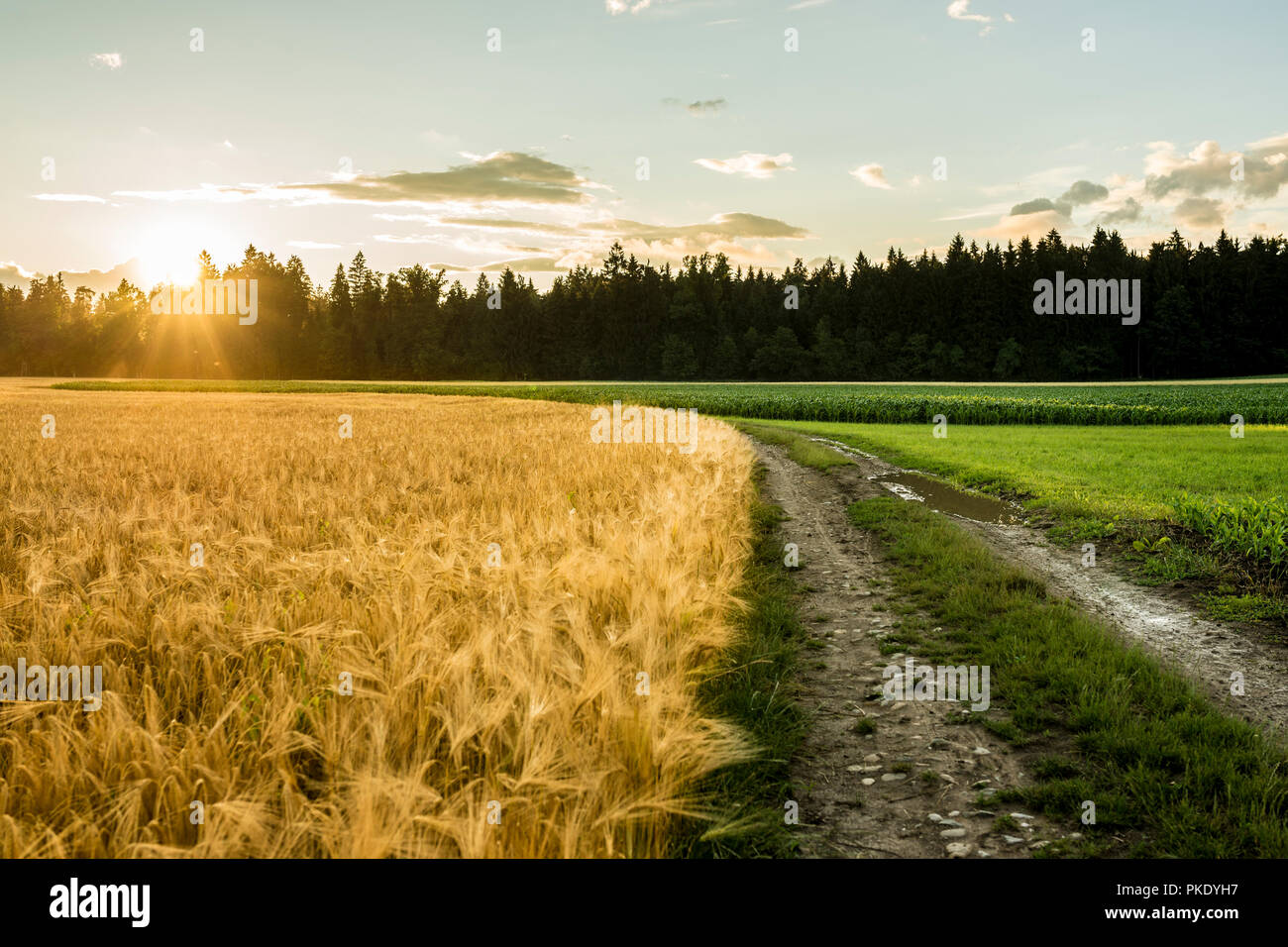 Field divided hi-res stock photography and images - Alamy