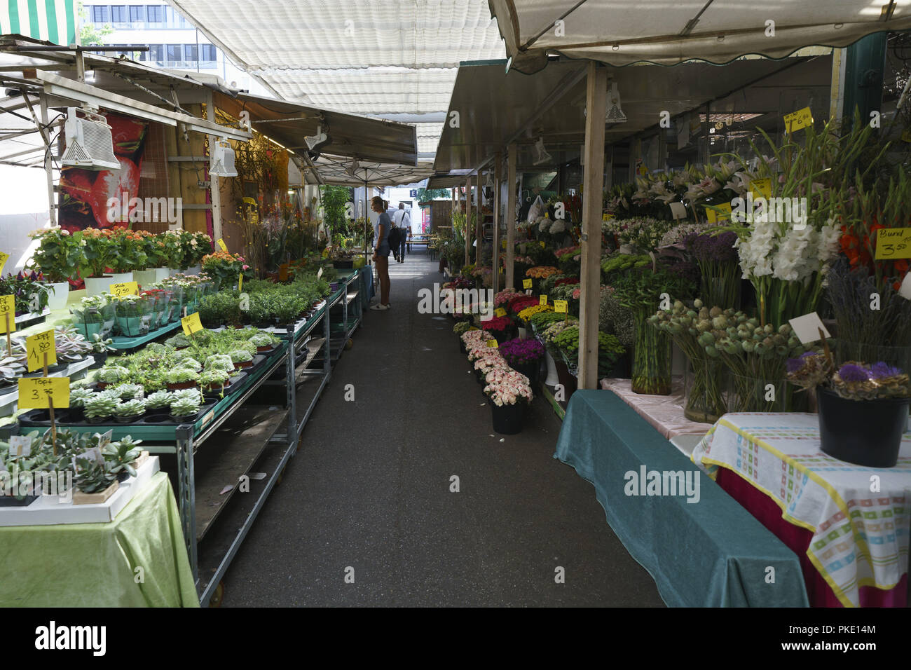 The carlsplatz is the oldest market still operated in dusseldorf hi-res ...
