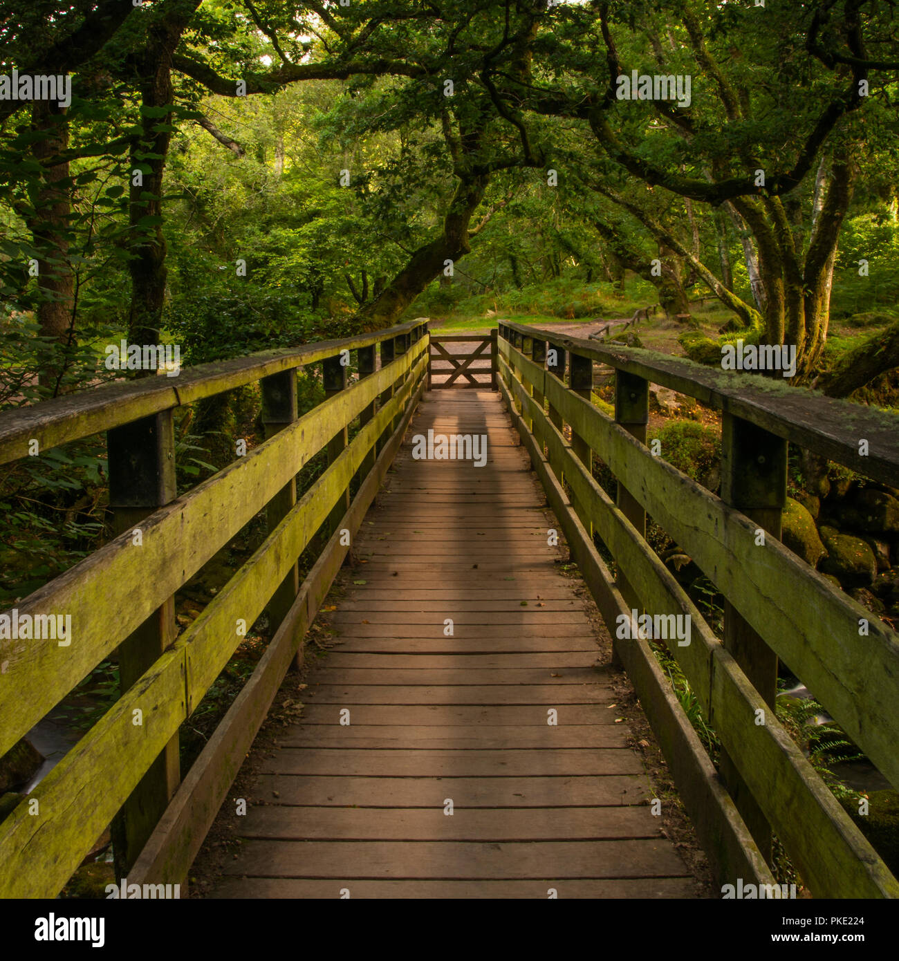 Shaugh Bridge, Dartmoor National Park, Devon Stock Photo - Alamy