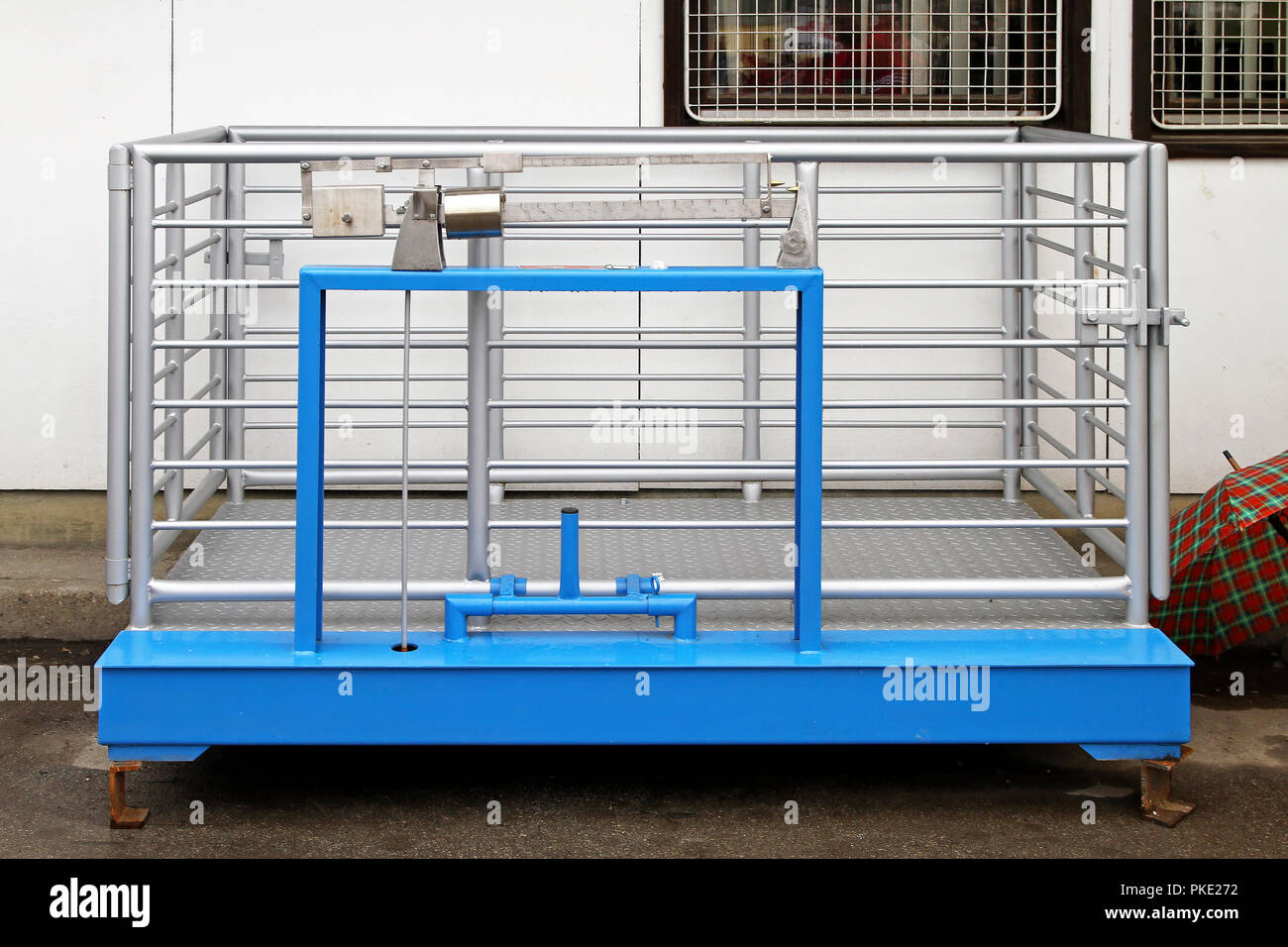 Livestock scale with cage for hogs and sheeps Stock Photo - Alamy