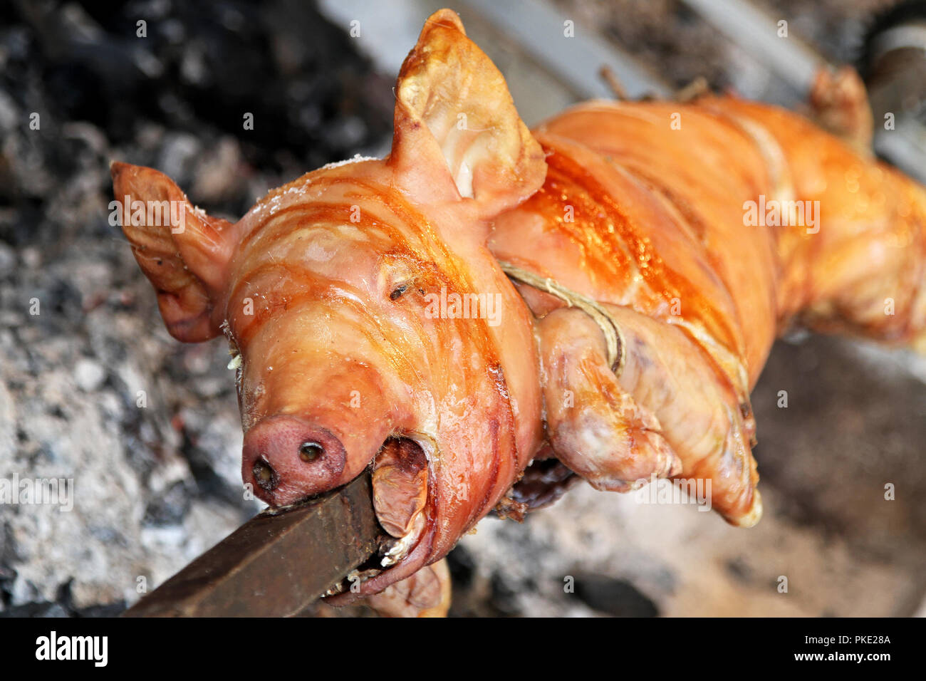 Small pig roasting on the spit fire Stock Photo - Alamy