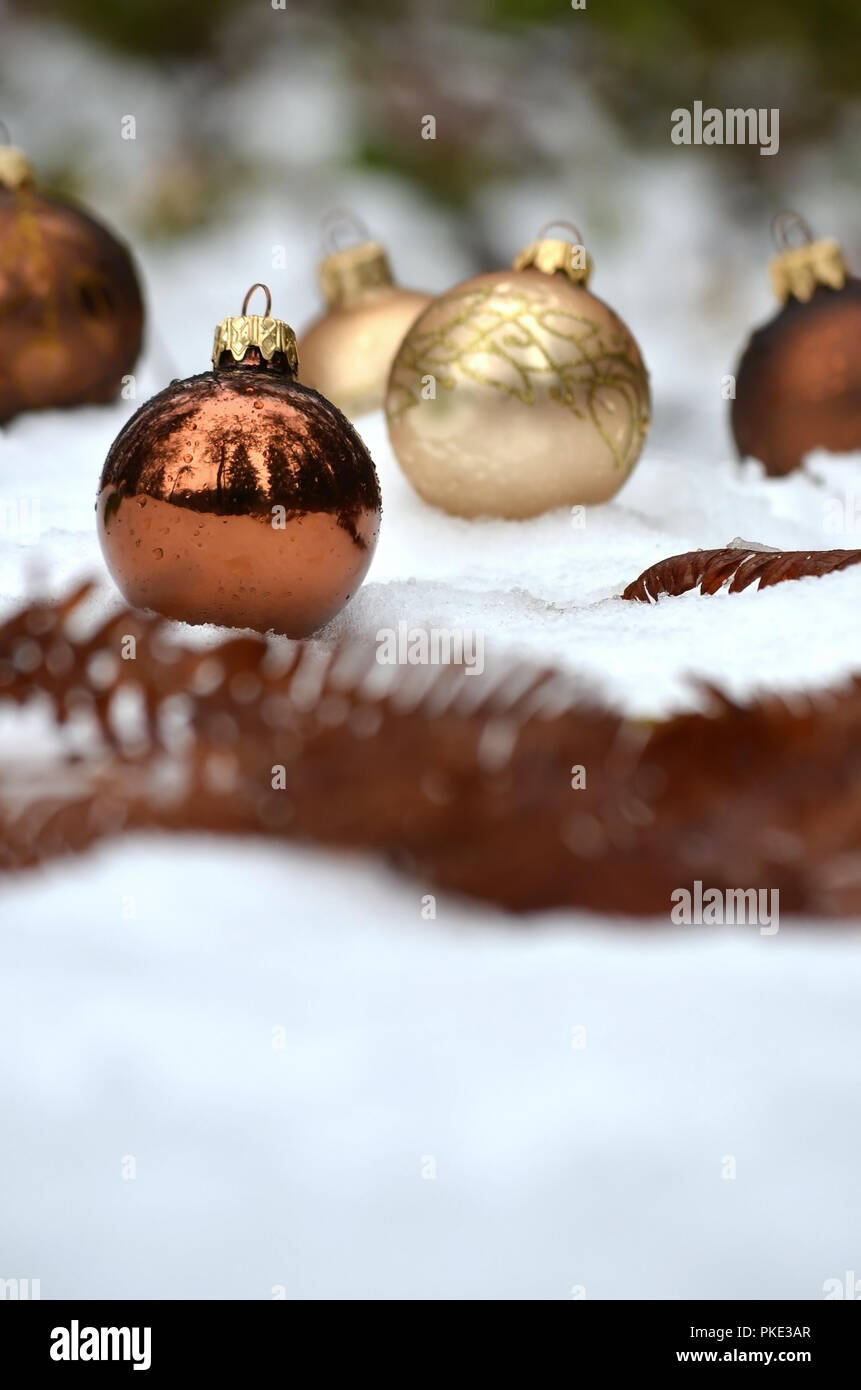 Fern snow winter hi-res stock photography and images - Alamy