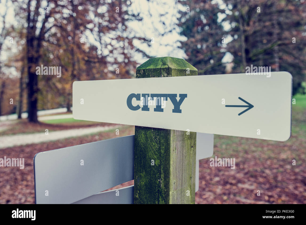 City signpost with right pointing arrow and text on a rustic wooden ...