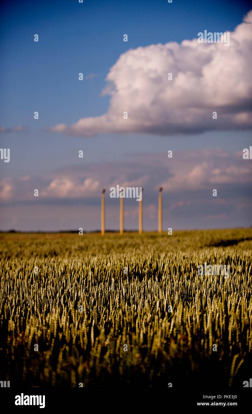 The fields around Brussels Airport in Steenokkerzeel (Belgium, 25/06 ...