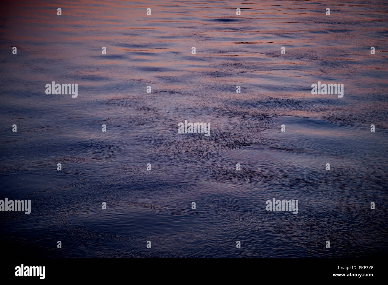 Schelde oever hi-res stock photography and images - Alamy