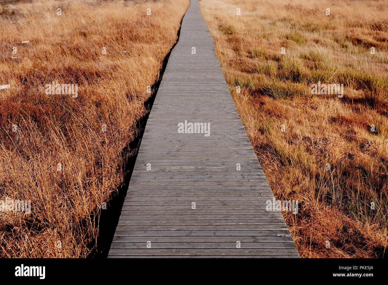 Parc des hautes fens hi-res stock photography and images - Alamy