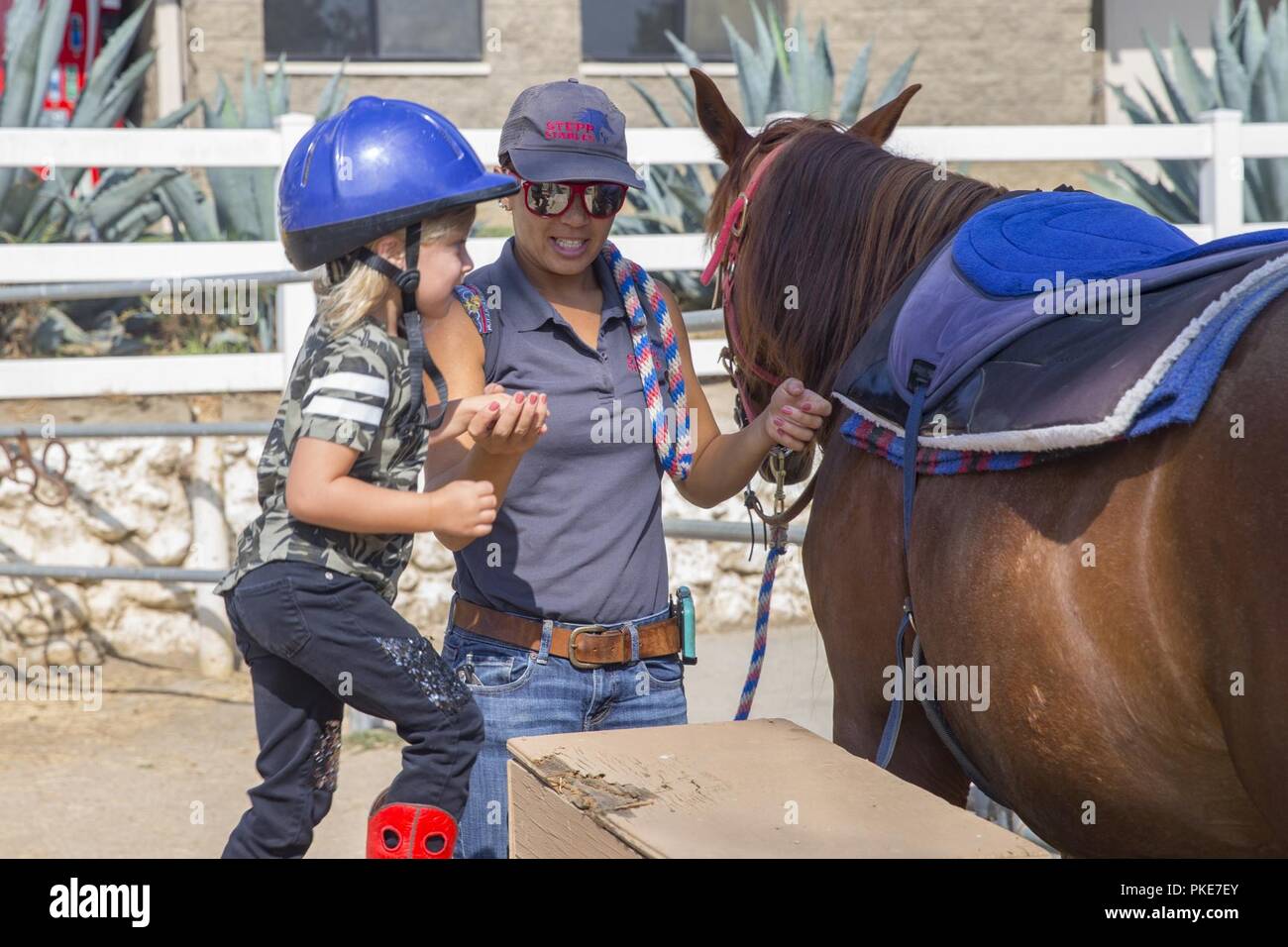 Stepp stables hi-res stock photography and images - Alamy