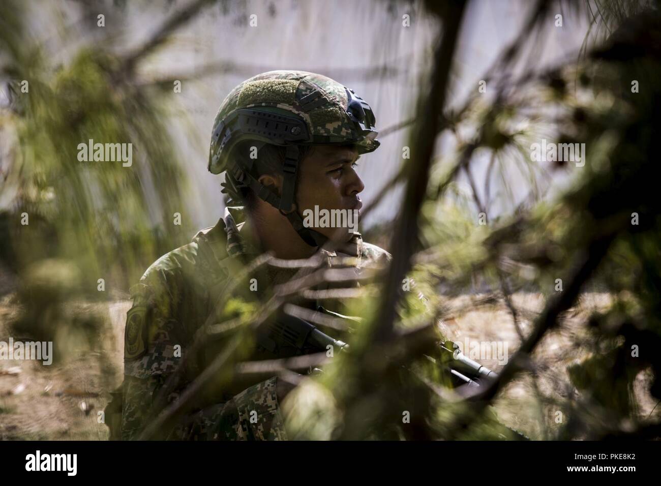 Us army sou hi-res stock photography and images - Alamy