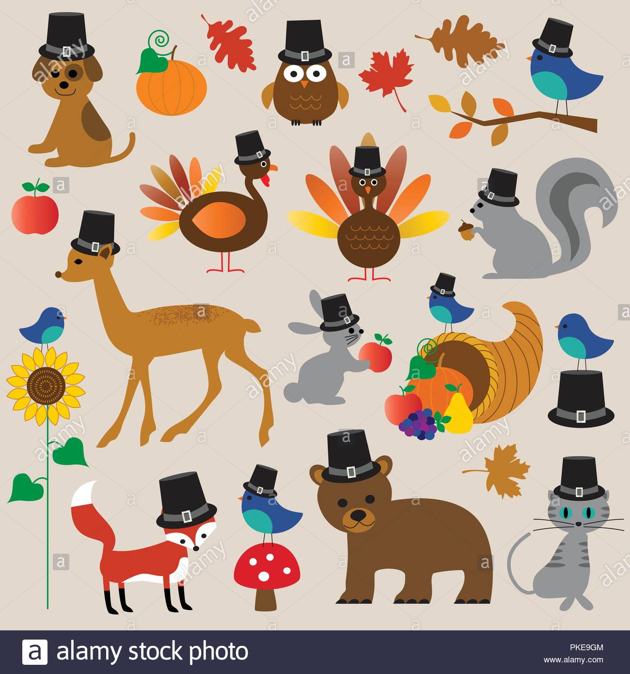 Fox Turkey Stock Photos & Fox Turkey Stock Images - Alamy