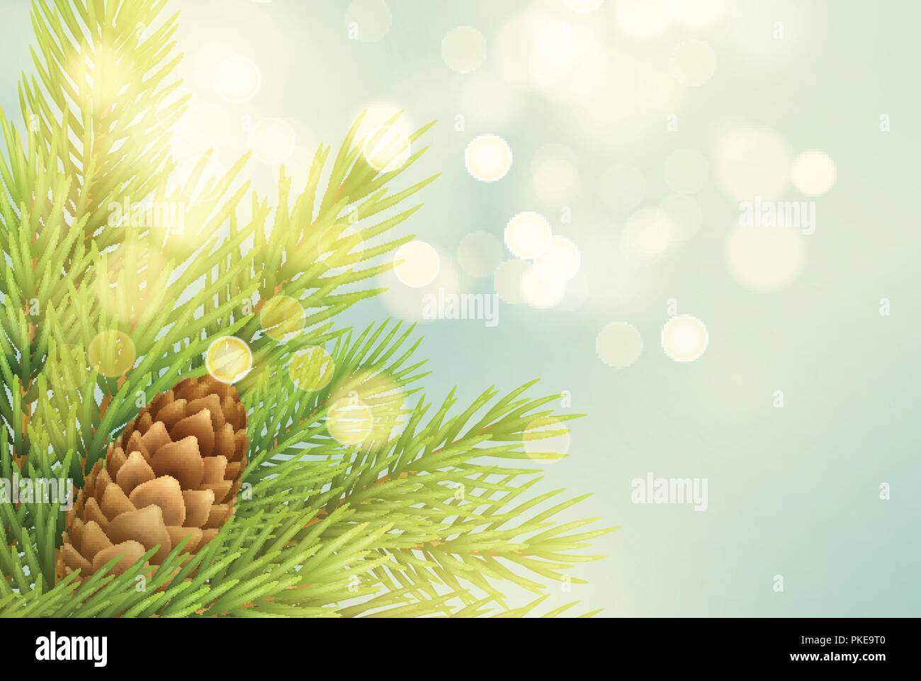 Realistic fir-tree branch with pinecone illustration Stock Vector Image ...