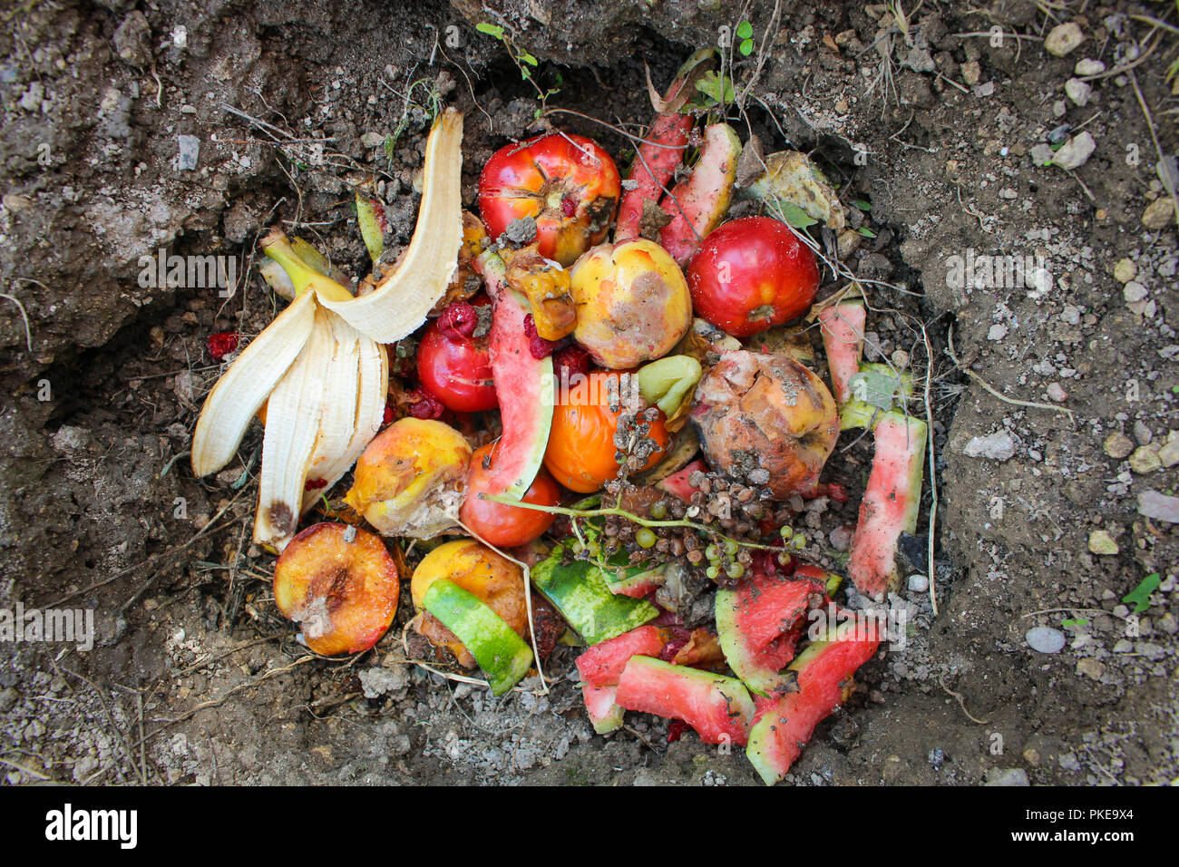 Domestic waste for compost from fruits and vegetables in garden Stock ...