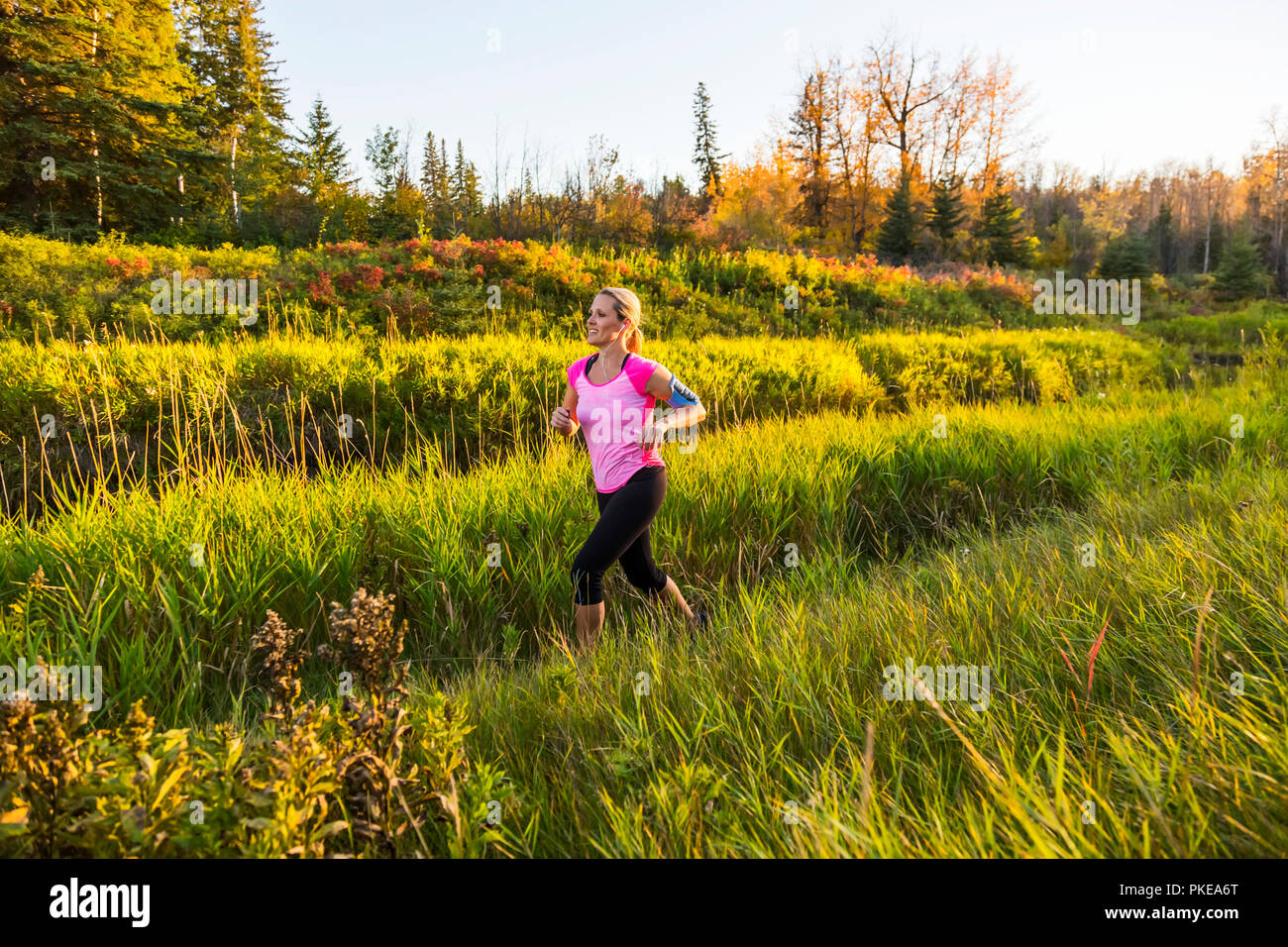 Middle arm creek hi-res stock photography and images - Alamy
