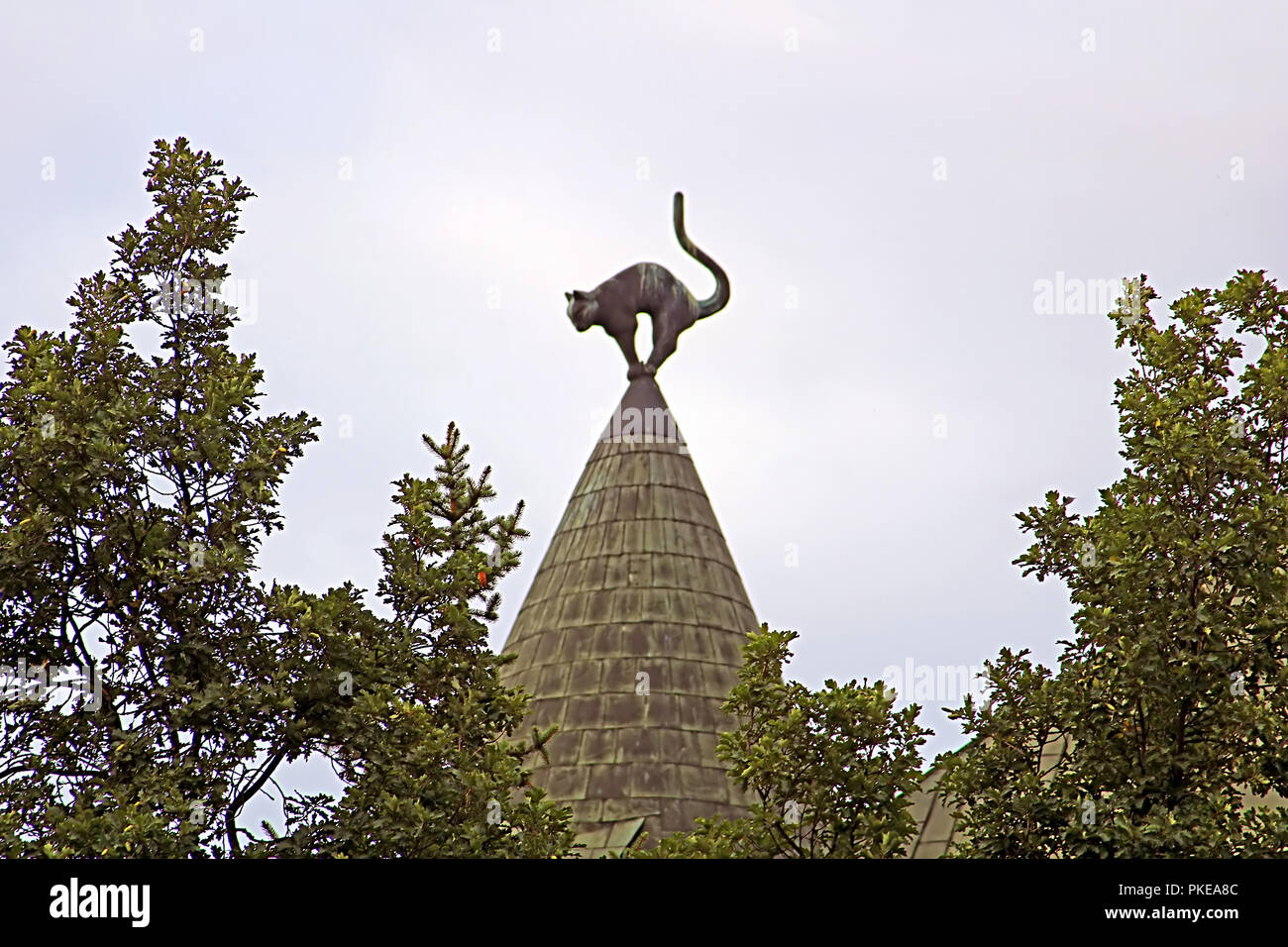The cat sculpture on the roof of Cat House in Riga, Latvia Stock Photo ...