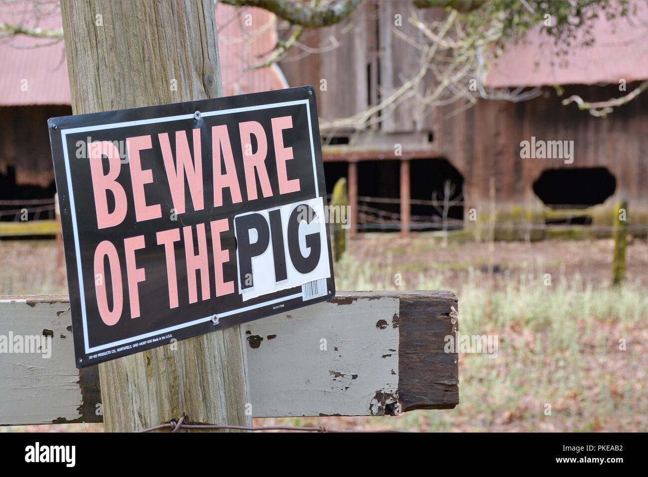 Pig in flight hi-res stock photography and images - Alamy