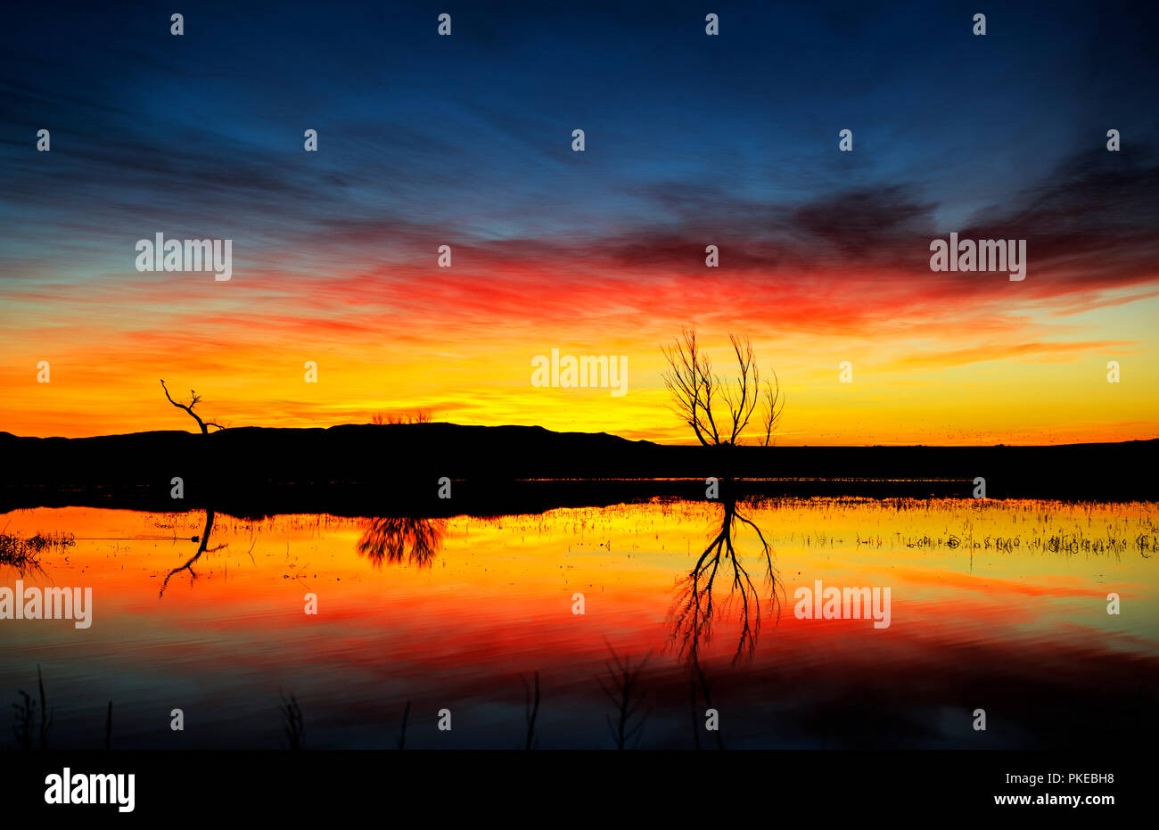 Dramatic sunrise over water, Bosque Del Apache Wildlife Refuge; New ...
