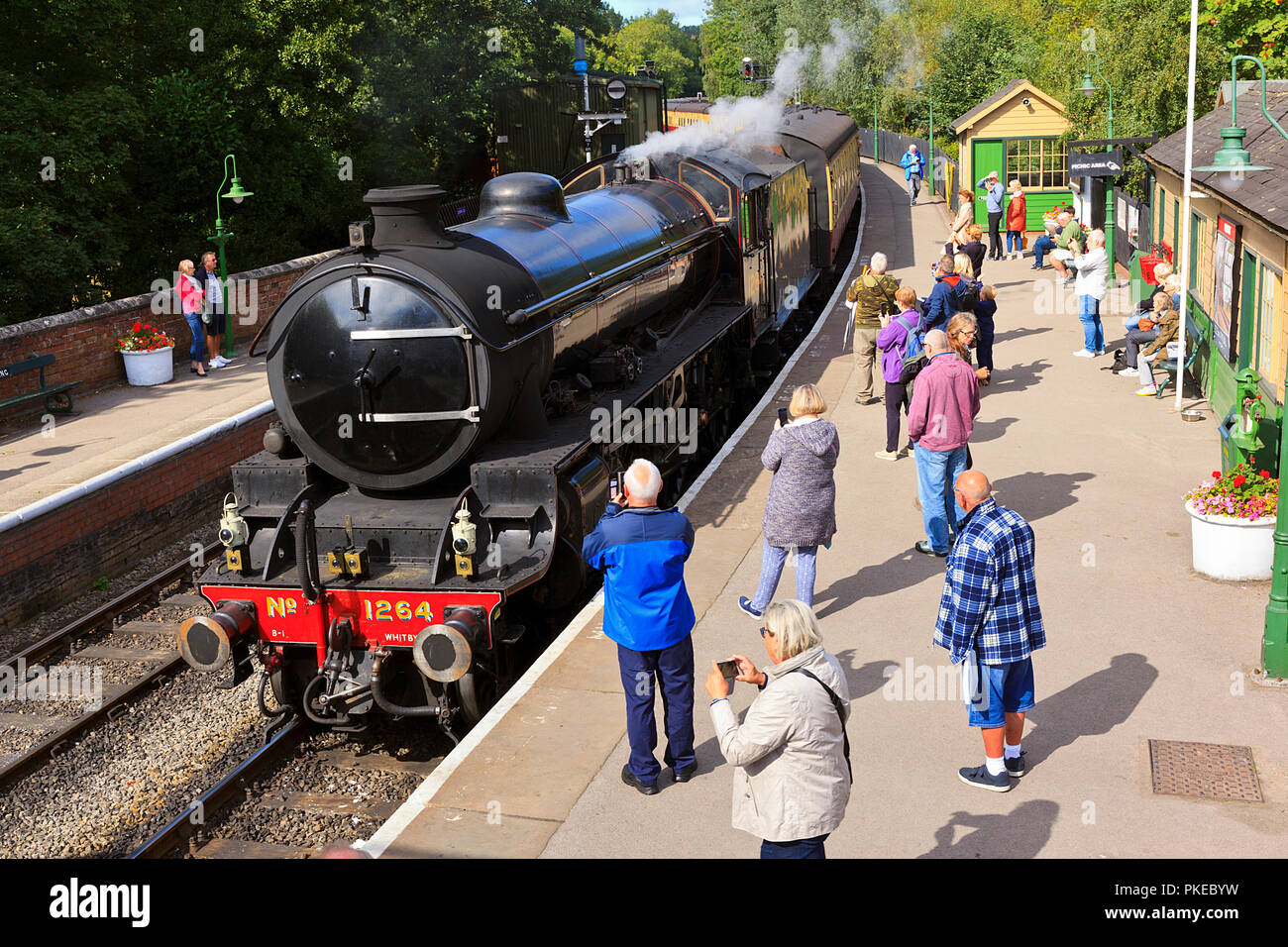 NYMR Steam Locomotive No. 1264 entering Pickering Station Stock Photo ...