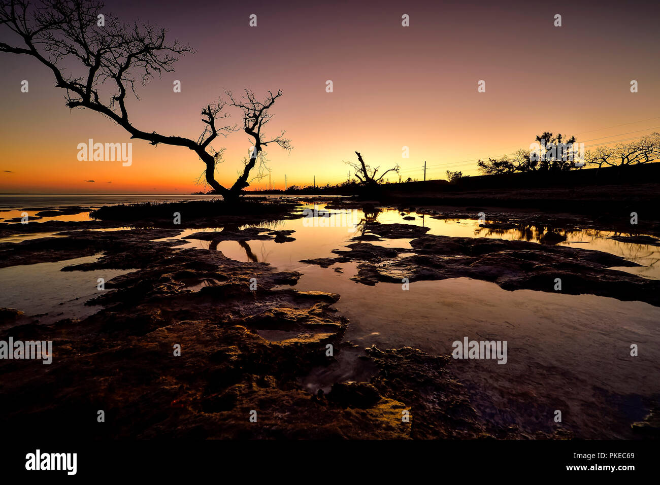 Eerie landscape on Spanish Harbor Key Stock Photo - Alamy