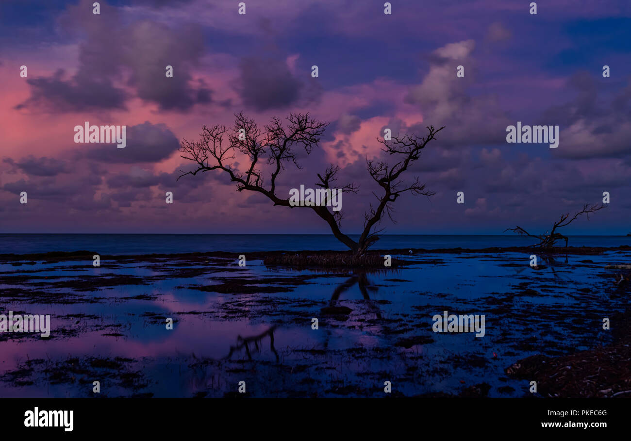 Sunrise reflected in the clouds on Spanish Harbor Key Stock Photo - Alamy