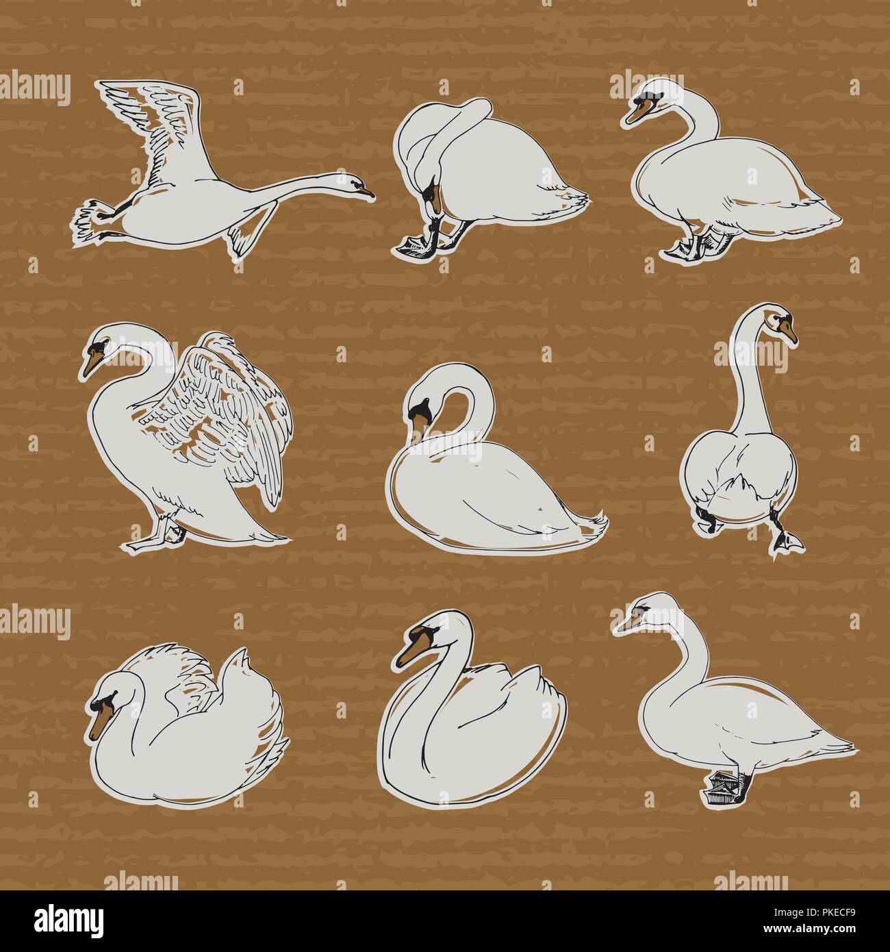 Hand drawn swans in different poses for your design. Swan stickers ...