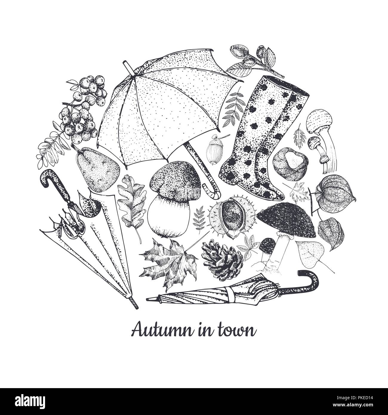 Itching plant Stock Vector Images - Alamy