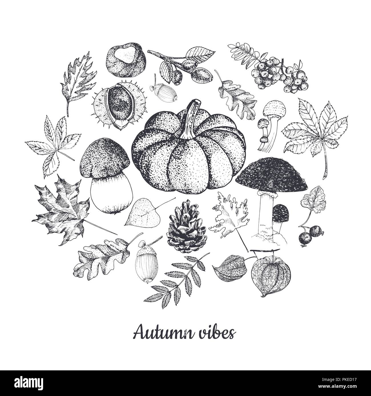 Fall Sketches