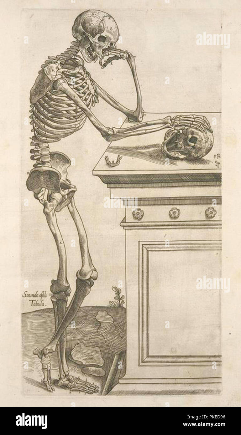 Skeleton Illustration High Resolution Stock Photography and Images - Alamy