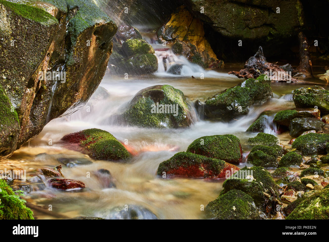 Beautiful landscape with a river in a lush canyon Stock Photo - Alamy