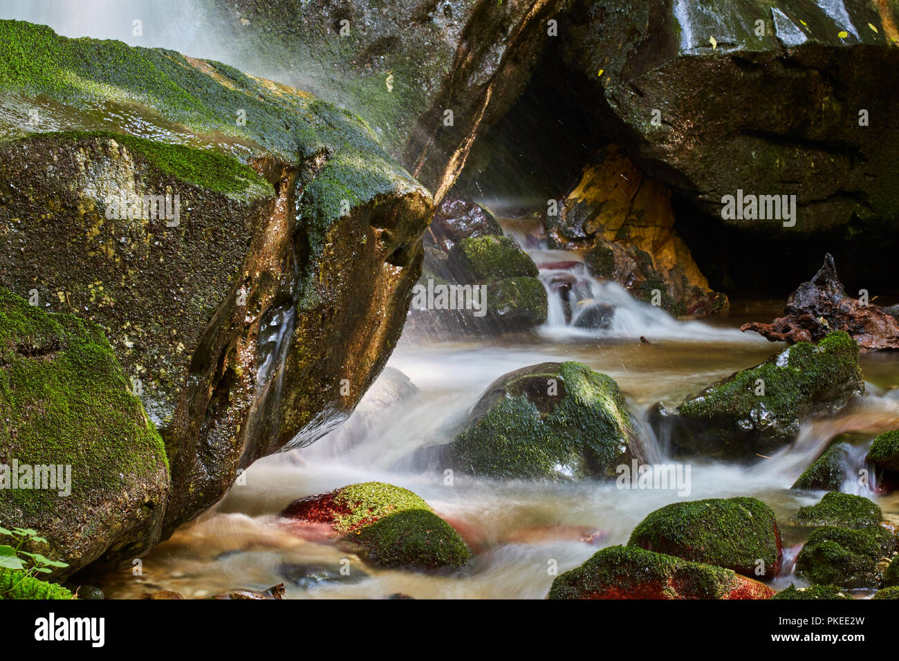 Beautiful landscape with a river in a lush canyon Stock Photo - Alamy
