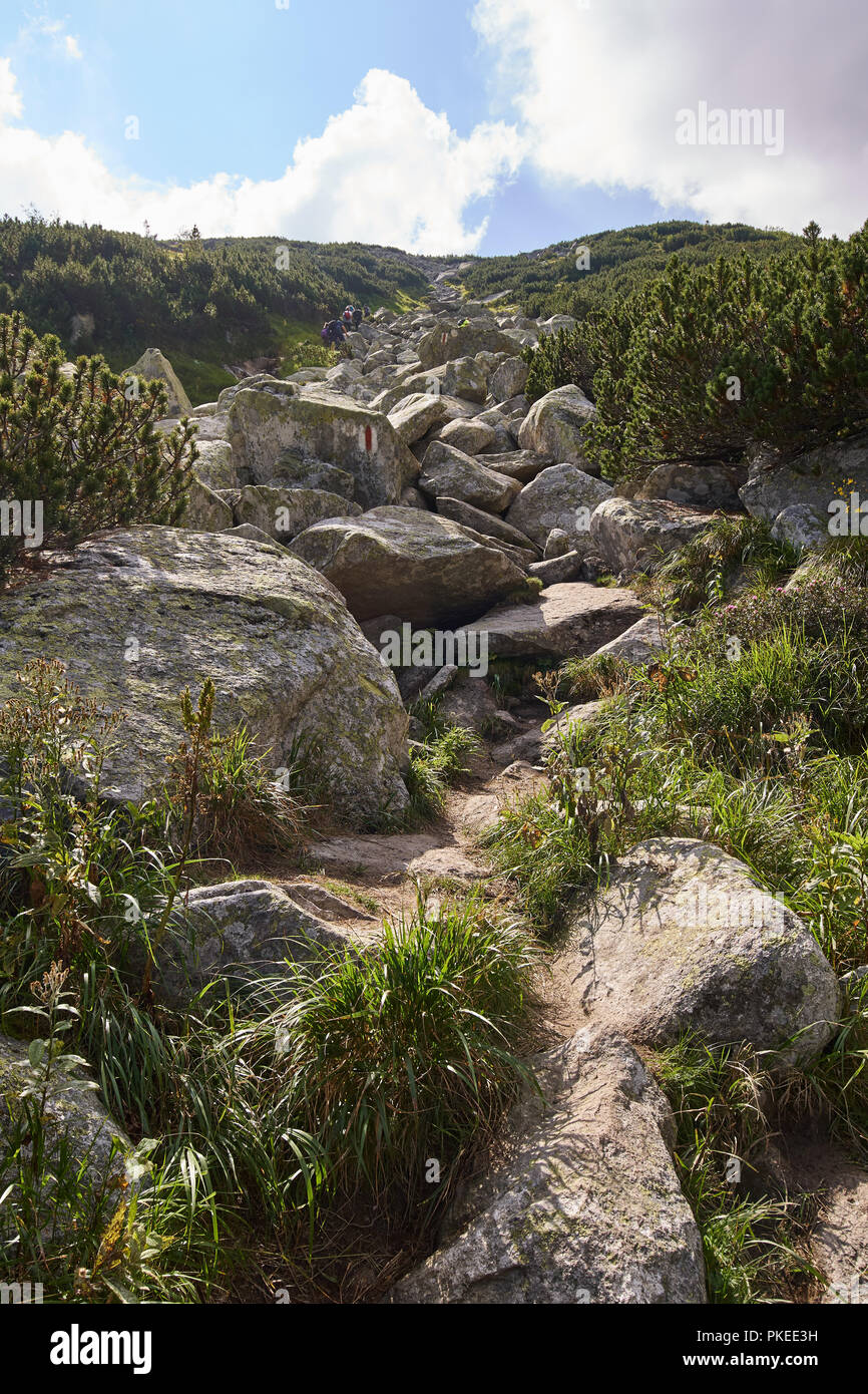Landscape with a hiking trail in rocky mountains Stock Photo - Alamy