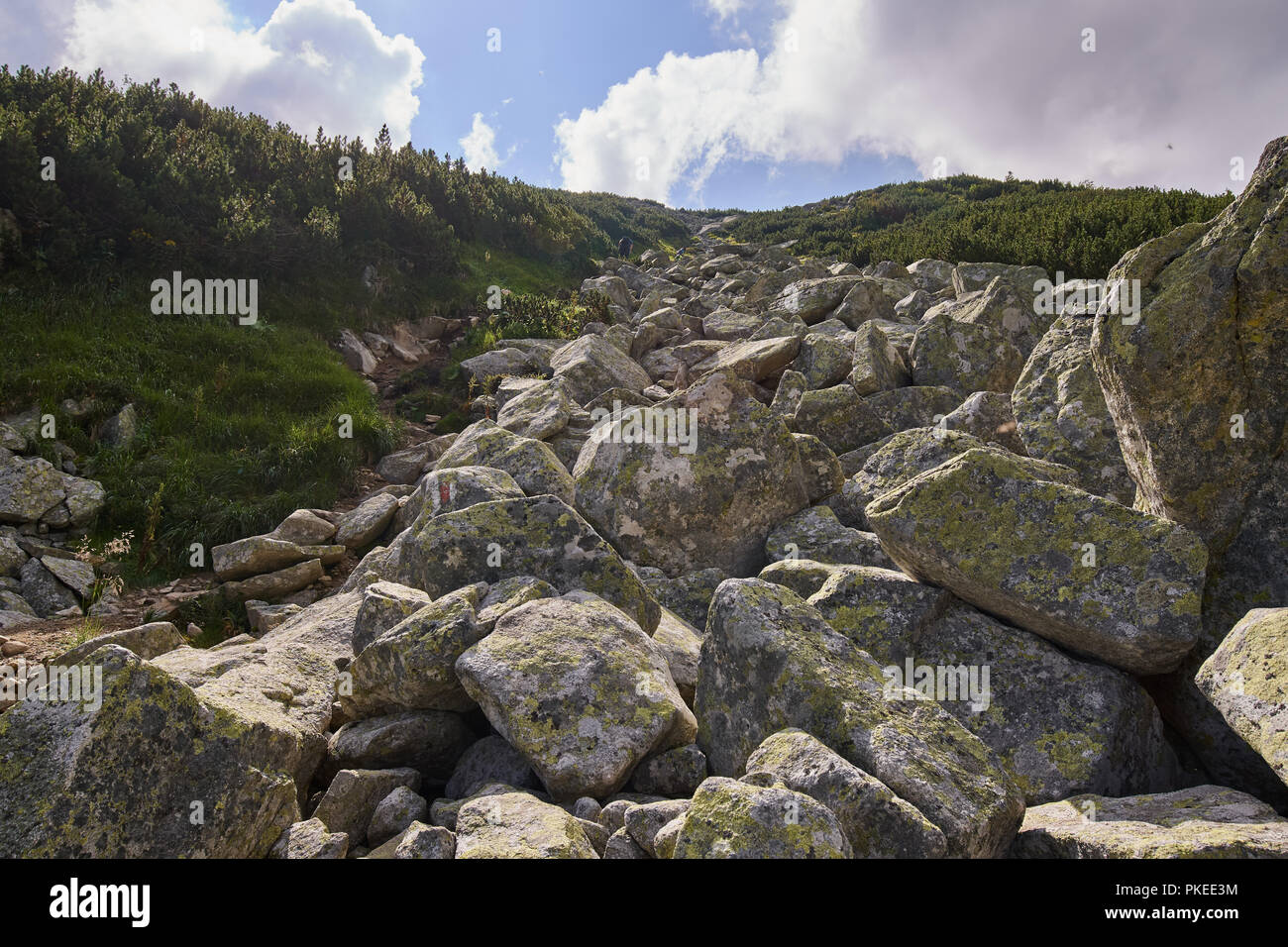 Landscape with a hiking trail in rocky mountains Stock Photo - Alamy