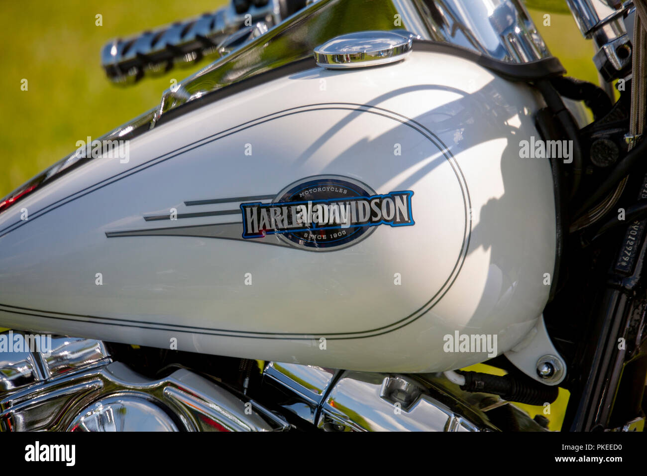 Gleaming White Harley-Davidson Heritage Softail motorbike Stock Photo ...