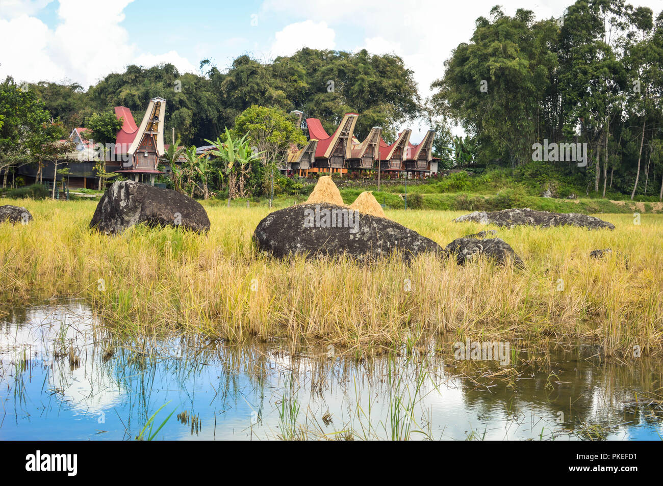 Landscape with traditional Tongkonan houses in Tana Toraja highlands ...
