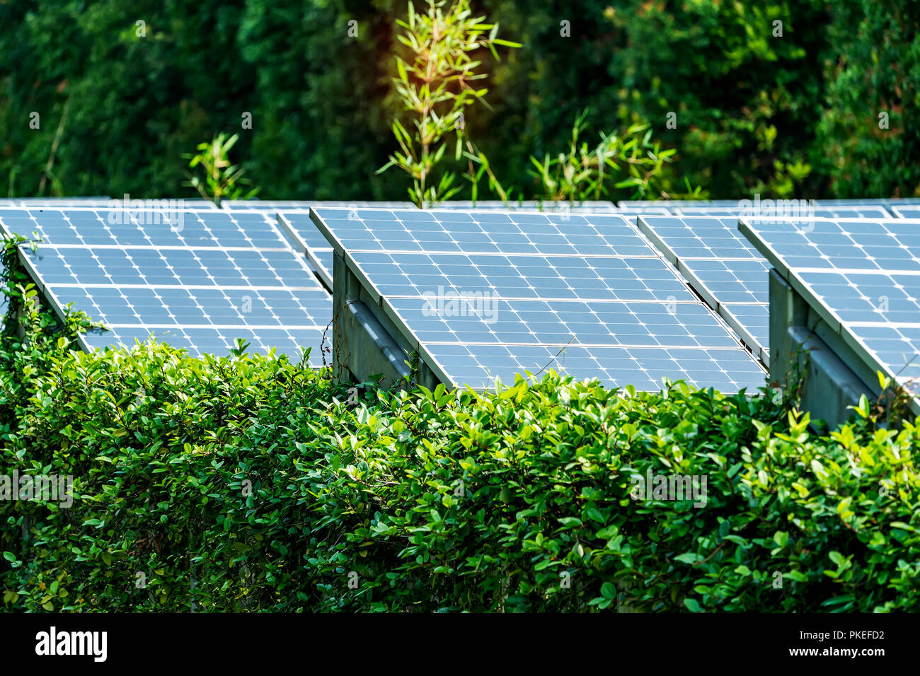 Alternative energy, sources and solar panels, sun energy.crystal Stock ...