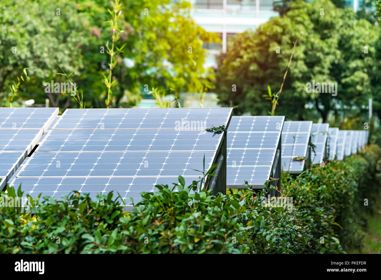Alternative energy, sources and solar panels, sun energy.crystal Stock ...