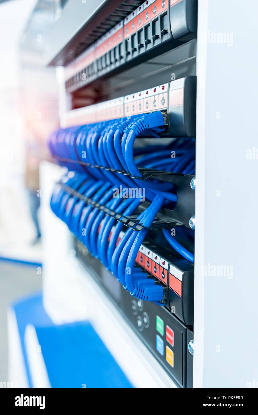 network cable connecting on network core switch close up Stock Photo ...