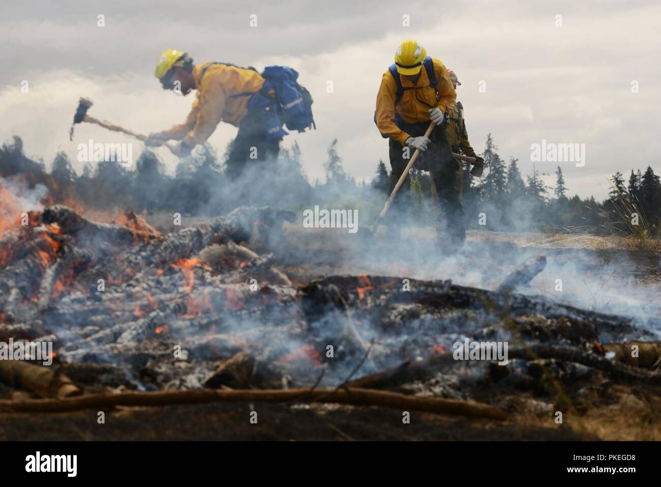 Oregon National Guard Soldiers and Airmen practice wildland ...