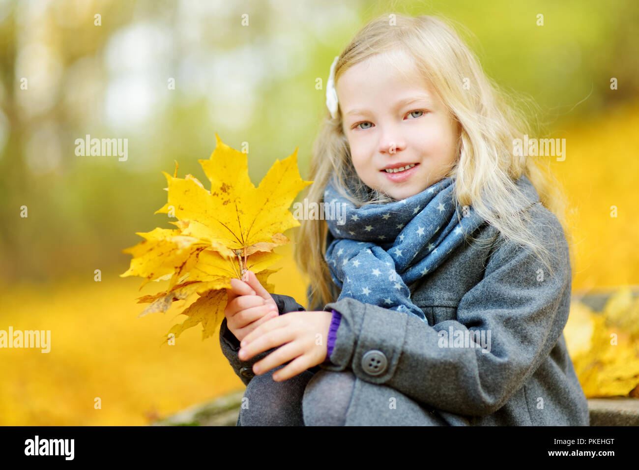 Cute little girl having fun on beautiful autumn day. Happy child playing in autumn park. Kid ...