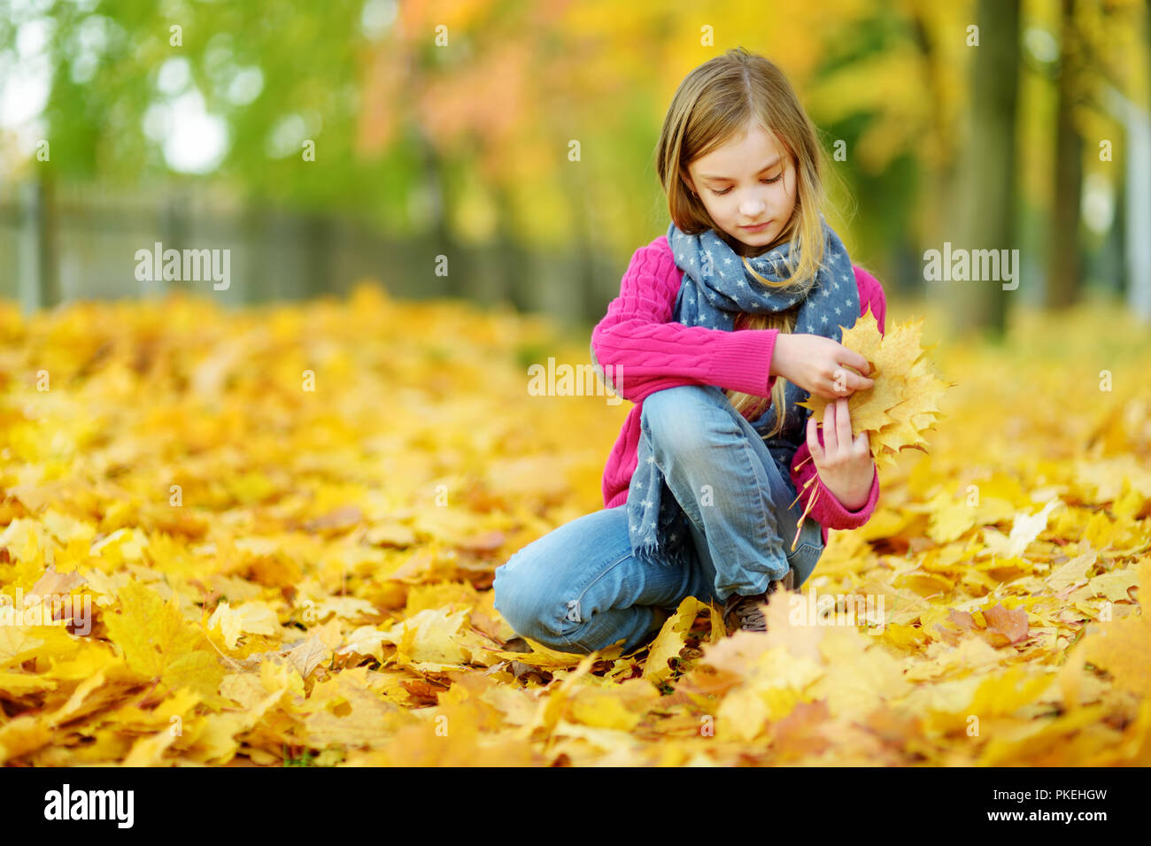 Cute little girl having fun on beautiful autumn day. Happy child ...
