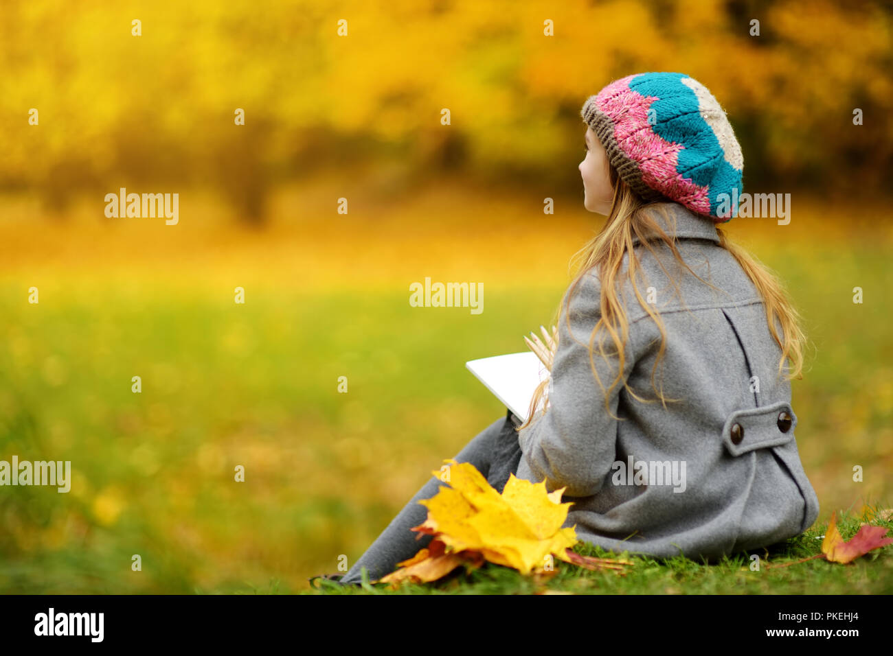 Cute little girl sketching outside on beautiful autumn day. Happy child ...