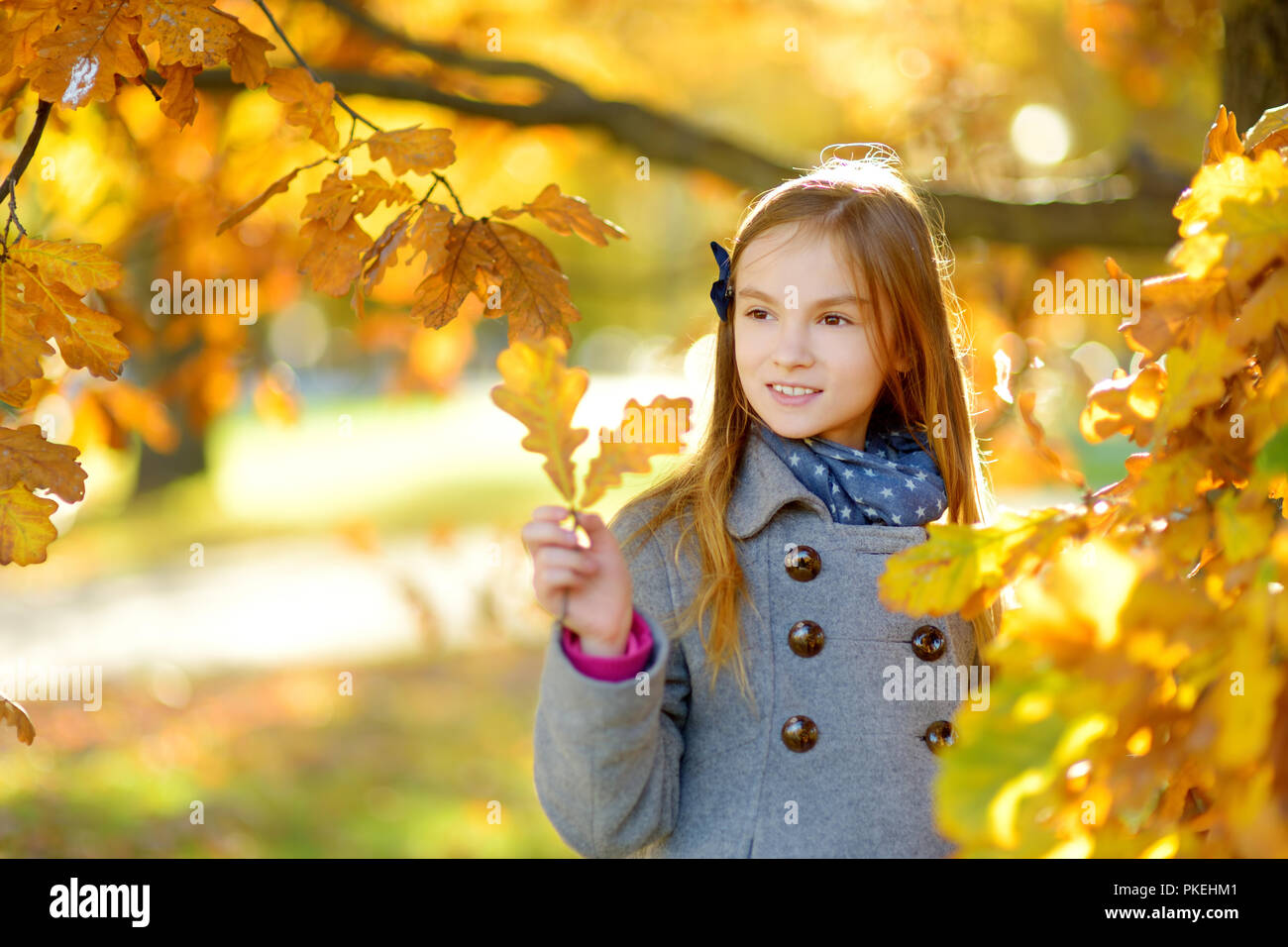 Cute little girl having fun on beautiful autumn day. Happy child ...