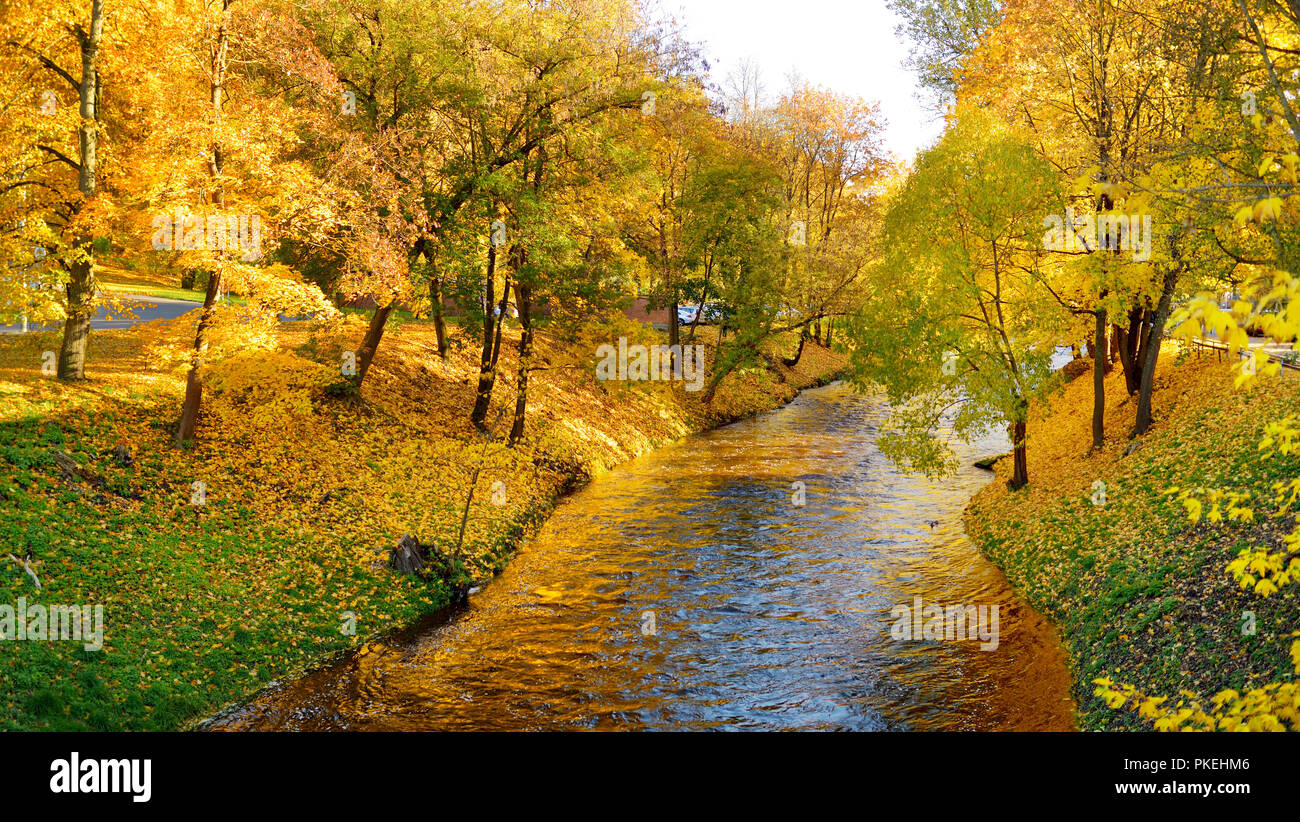 Colorful city park scene in the fall with orange and yellow foliage ...