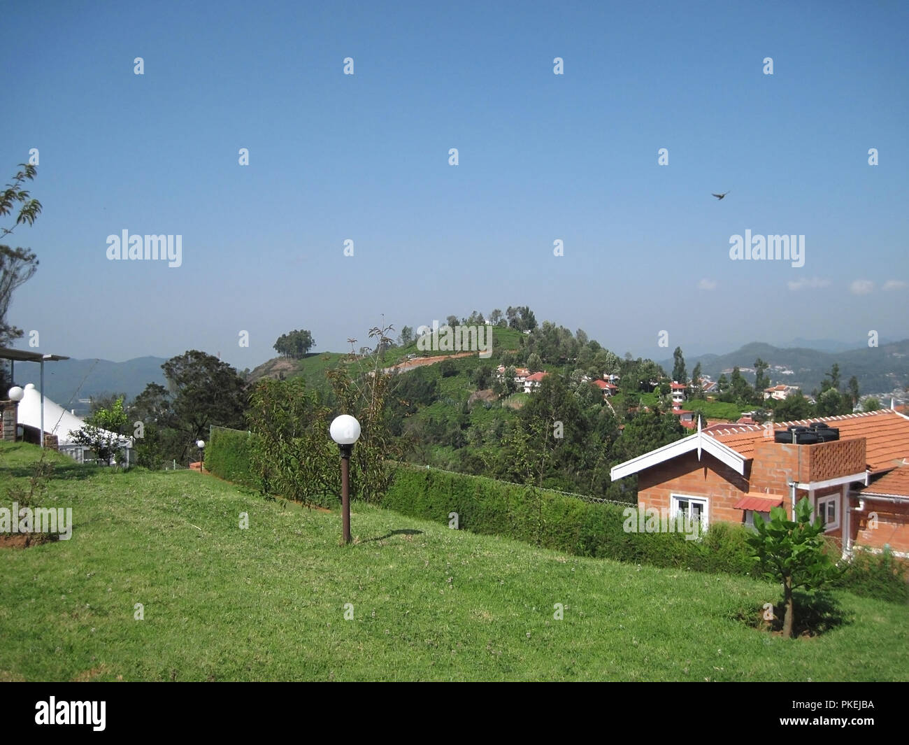 A VIEW OF TEA ESTATES, COONOOR, TAMILNADU, INDIA, ASIA Stock Photo - Alamy