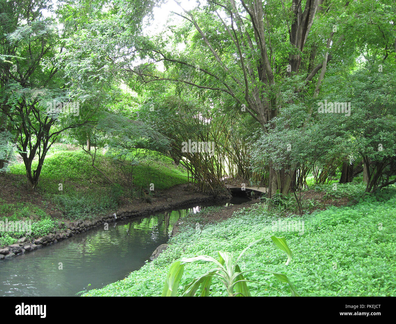 Pune osho hi-res stock photography and images - Alamy
