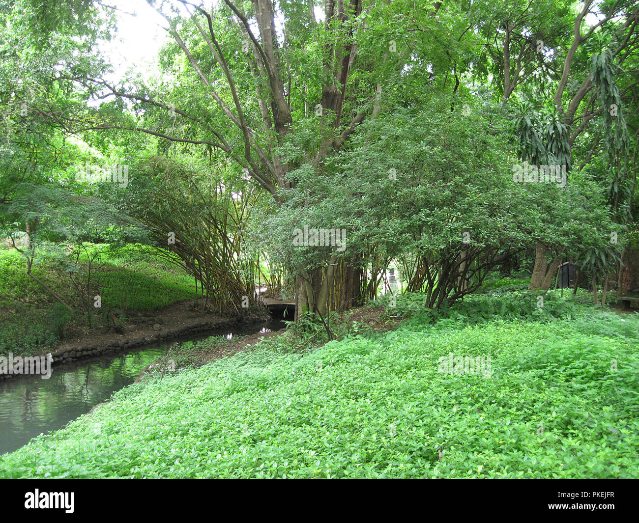 Osho rajneesh hi-res stock photography and images - Alamy