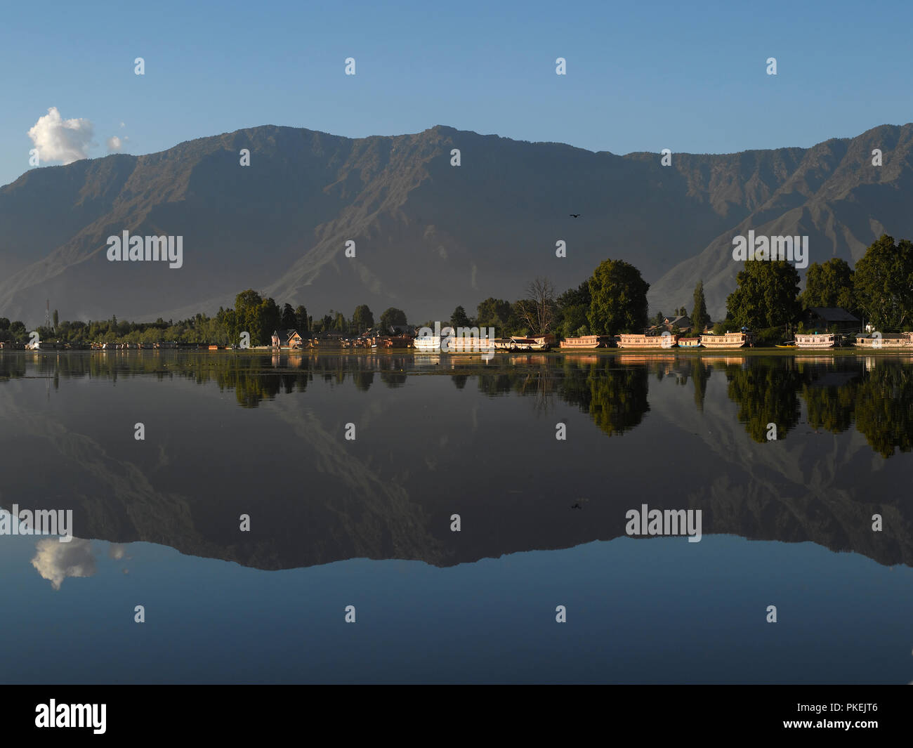 HOUSE BOATS ON NIGEEN LAKE, SRINAGAR, KASHMIR, INDIA, ASIA Stock Photo ...