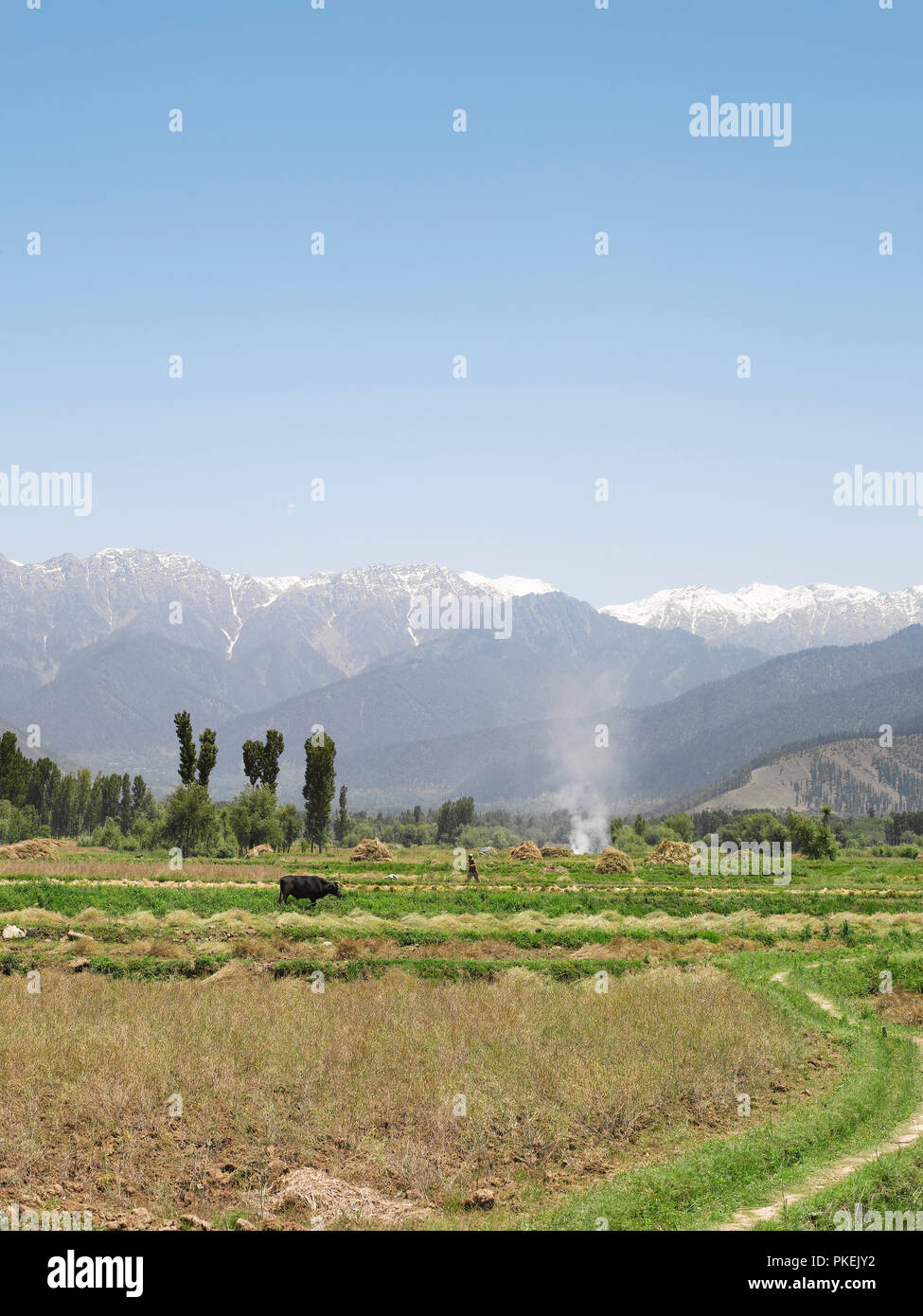 Aerial view of srinagar hi-res stock photography and images - Alamy
