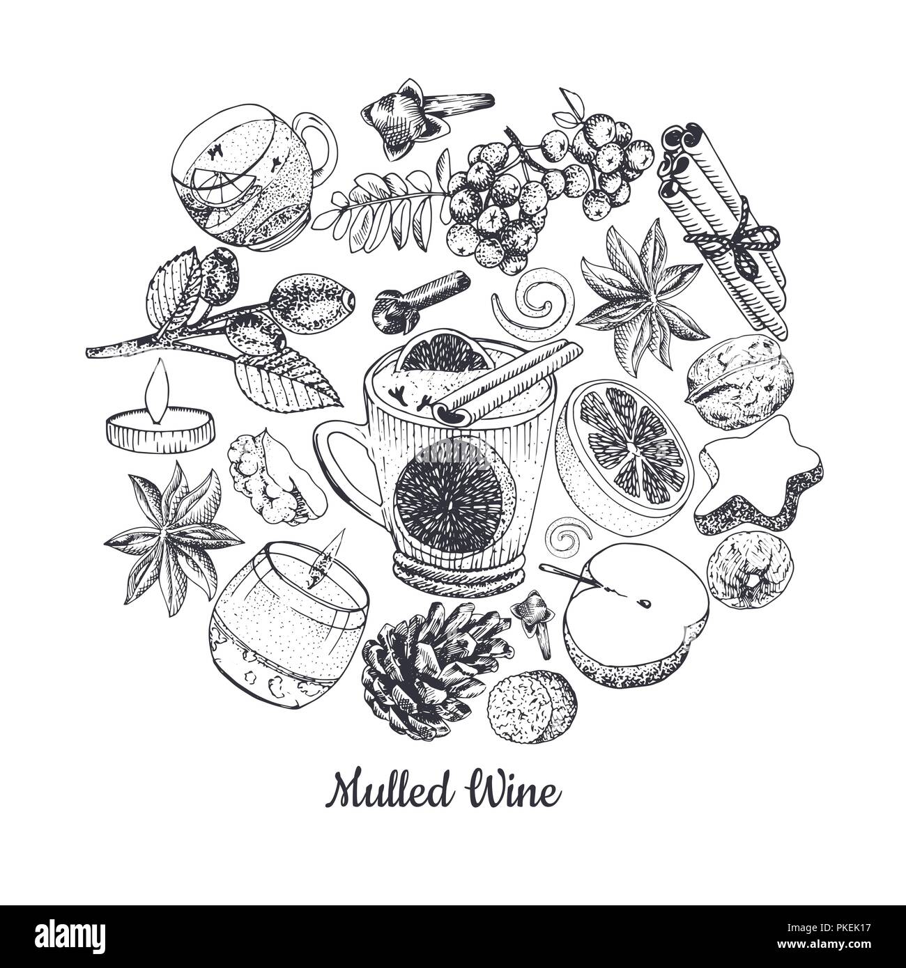 Mulled wine ingredients vector illustration. Hand drawn sketches of ...